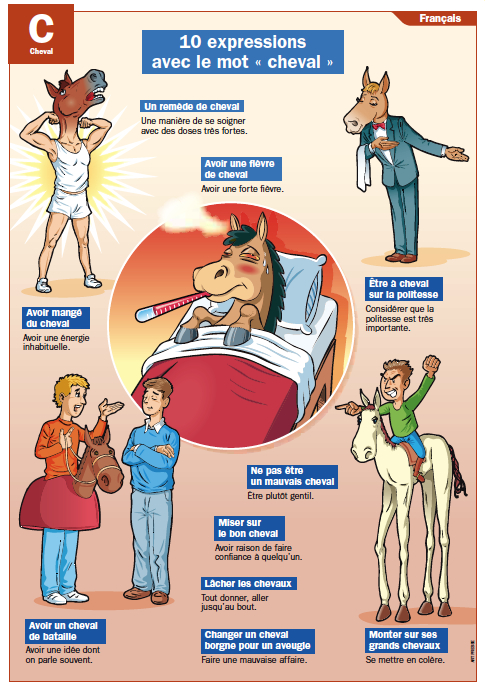 Images De Chevaux Drôles Avec Des Mots 29 900+ Cheval Humour Photos,