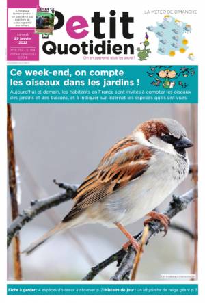 Playbac Presse Digital: journaux jeunesse Le Petit Quotidien, Mon ...