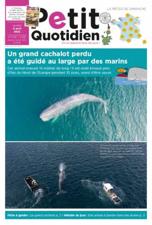 Playbac Presse Digital: journaux jeunesse Le Petit Quotidien, Mon ...