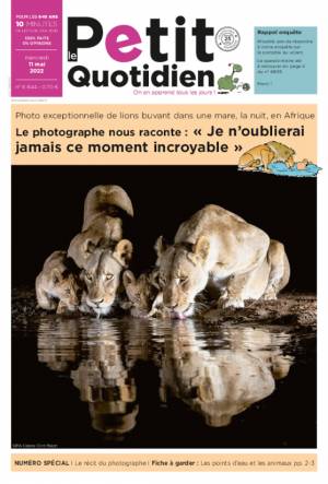 Playbac Presse Digital: journaux jeunesse Le Petit Quotidien, Mon ...
