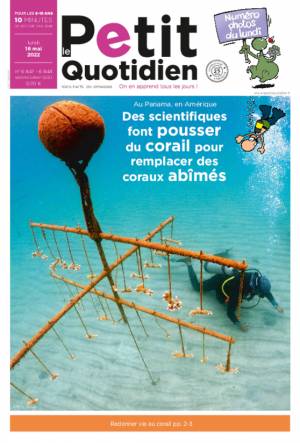 Playbac Presse Digital: journaux jeunesse Le Petit Quotidien, Mon ...