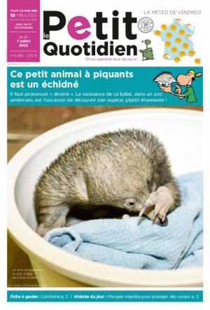 Playbac Presse Digital: journaux jeunesse Le Petit Quotidien, Mon ...