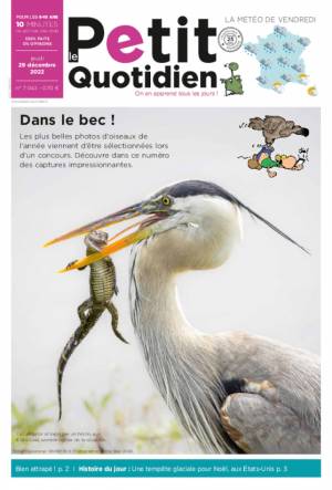 Playbac Presse Digital: journaux jeunesse Le Petit Quotidien, Mon ...