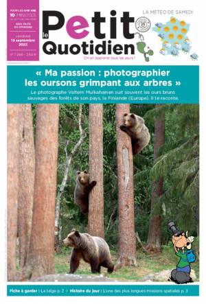 Playbac Presse Digital: journaux jeunesse Le Petit Quotidien, Mon ...