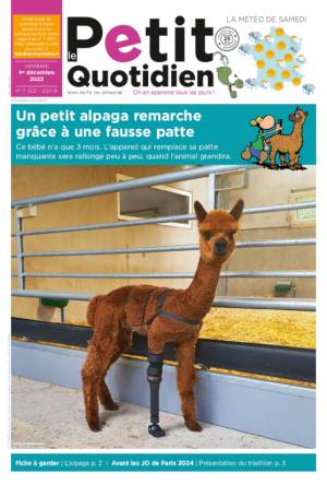 Playbac Presse Digital: journaux jeunesse Le Petit Quotidien, Mon ...