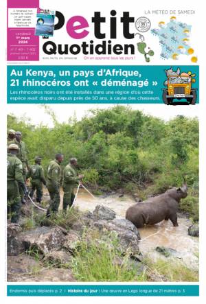 Playbac Presse Digital: journaux jeunesse Le Petit Quotidien, Mon ...