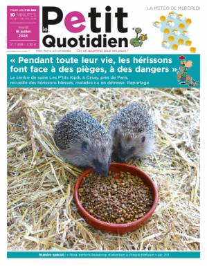 Playbac Presse Digital: journaux jeunesse Le Petit Quotidien, Mon ...