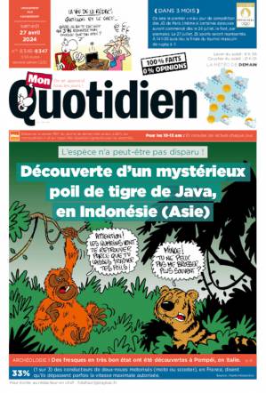 Playbac Presse Digital: journaux jeunesse Le Petit Quotidien, Mon ...